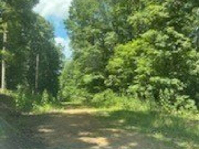 Pond Dr, Nunnelly, TN 37137