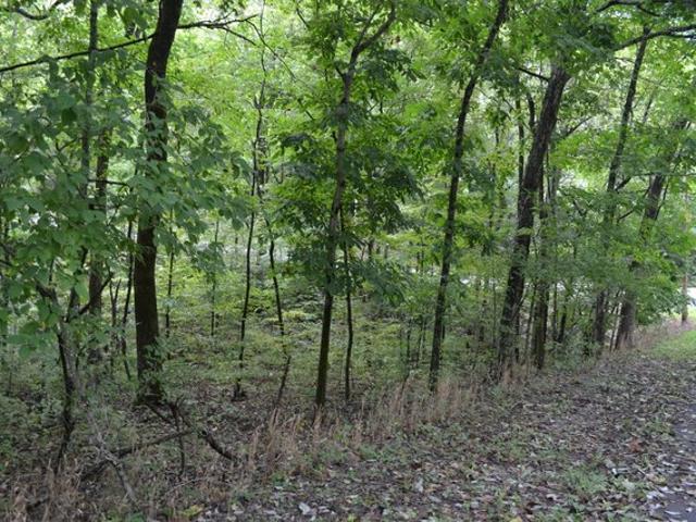 Pond Dr, Gallatin, TN 37066