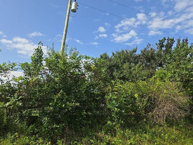 Pond Field Rd