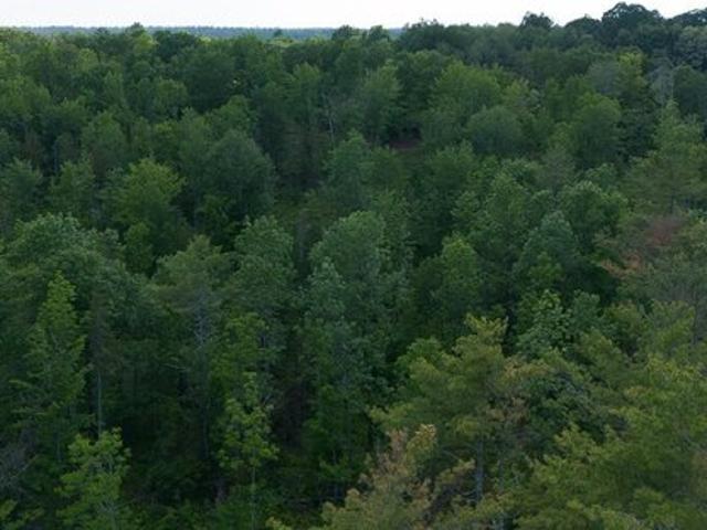 Pond Rd Lot 1, Burnham, ME 04922