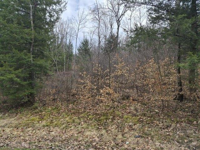 Pond Rd Lot 1, Rockingham, VT 05346