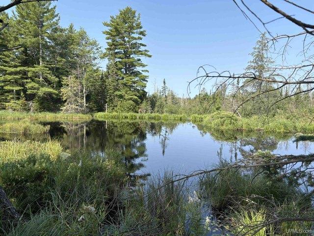 Pond 80 W off N Pointe Rd, Deerton, MI 49822