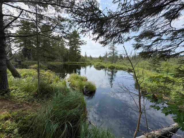 Pond 80 W off North Pointe RD Road