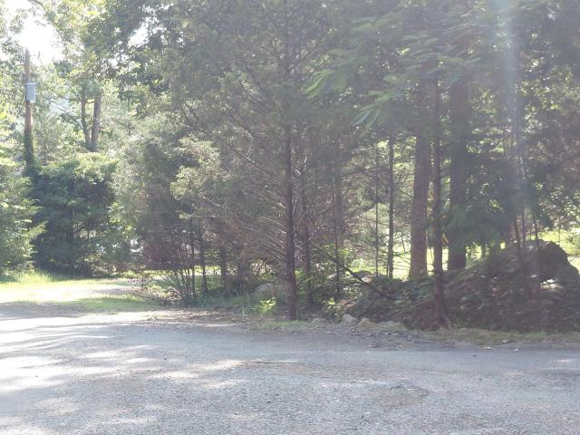 Ponderosa Lane