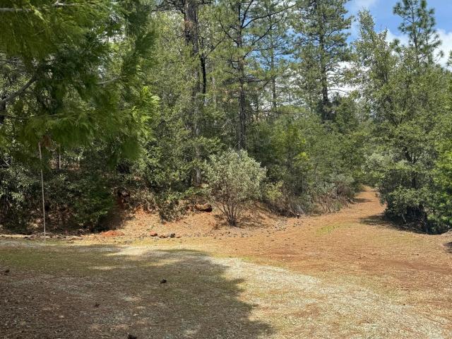 Ponderosa Way