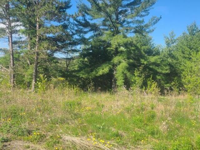 Pondview St, Limestone, Plot For Sale