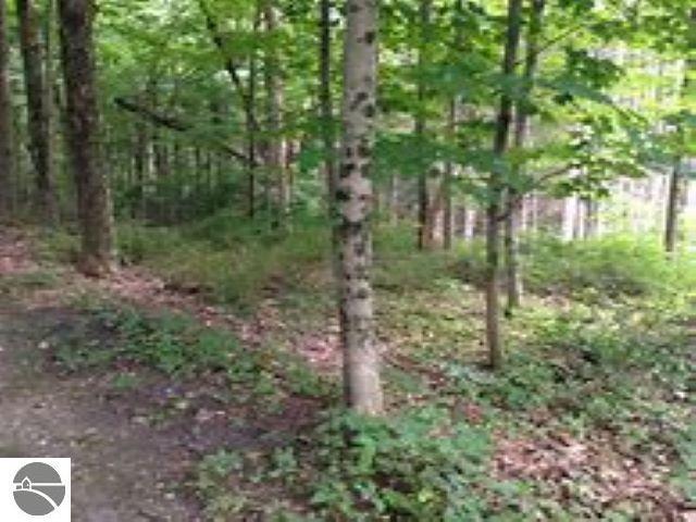 Poneytail Trail
