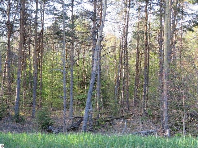 Poneytail Trl Lot 21, Petoskey, MI 49770