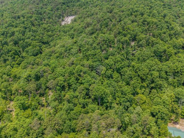 Poor Valley Rd, Rutledge, TN 37861