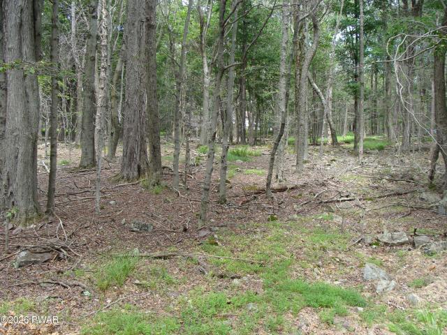 Pocono Drive