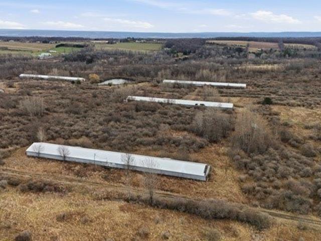 Podunk Rd, Trumansburg, NY 14886