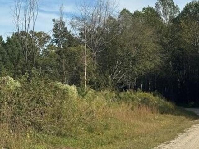 Poe Dr Lot,kenbridge, Plot For Sale
