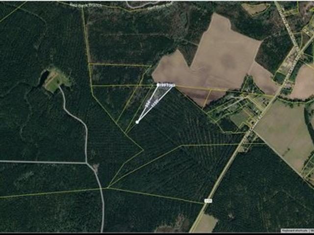 Point Caswell Rd, Atkinson, NC 28421