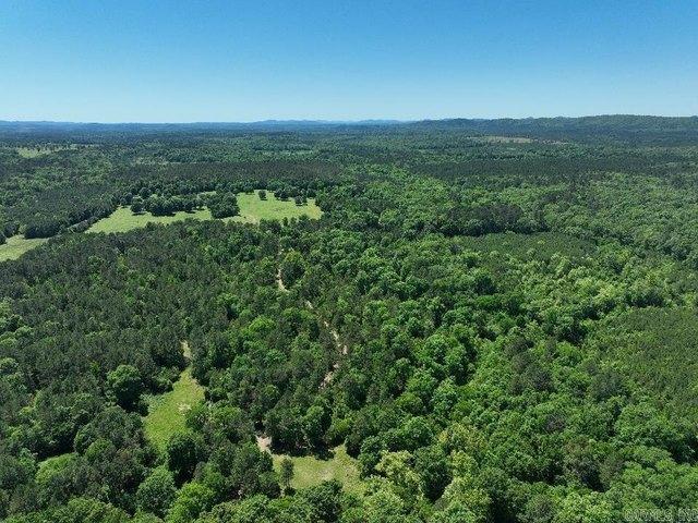 Point Cedar, AR 71921