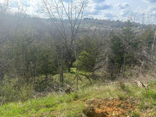 Point Dr Lot 41G, Pounding Mill, VA 24637