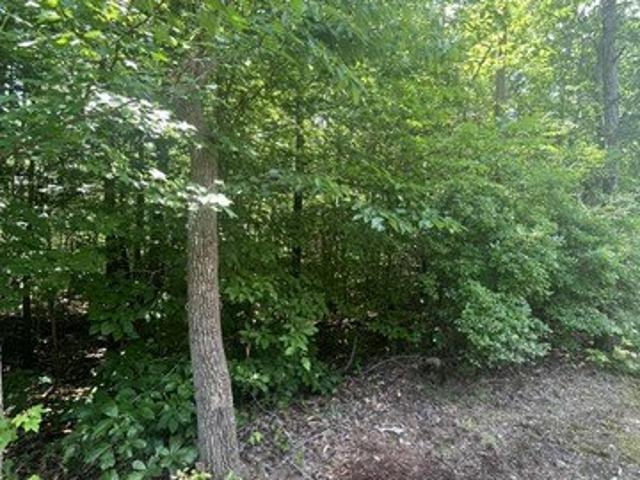 Point Rd, Westminster, SC 29693