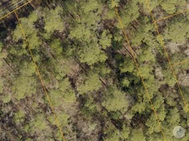 Pointe Aux Chenes Rd Lot 1 4, Ocean Springs, MS 39564