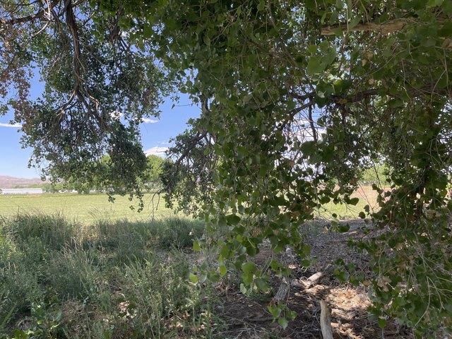 Polvadera, NM 87828