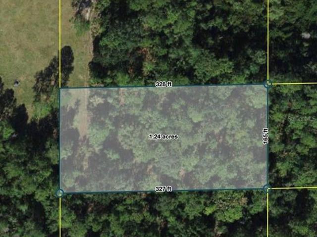 Polk City, FL 33868