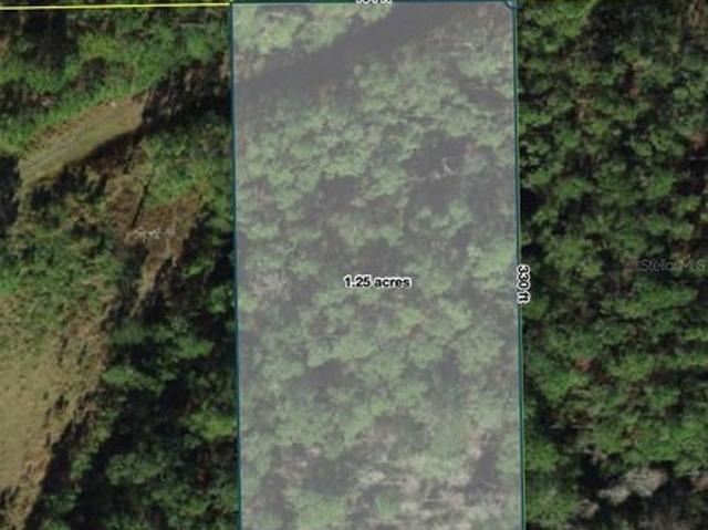 Polk City, FL 33868
