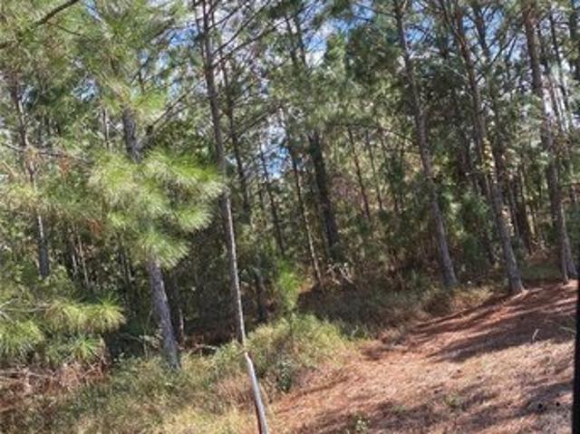 Polk City, FL 33868