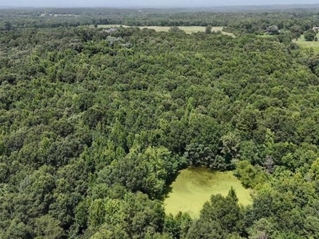 Polk Rd # 283, Hatfield, AR 71945