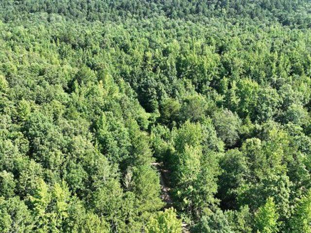 Polk Rd # 69, Mena, AR 71953