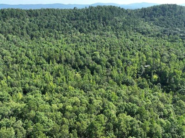 Polk Rd # 69, Mena, AR 71953