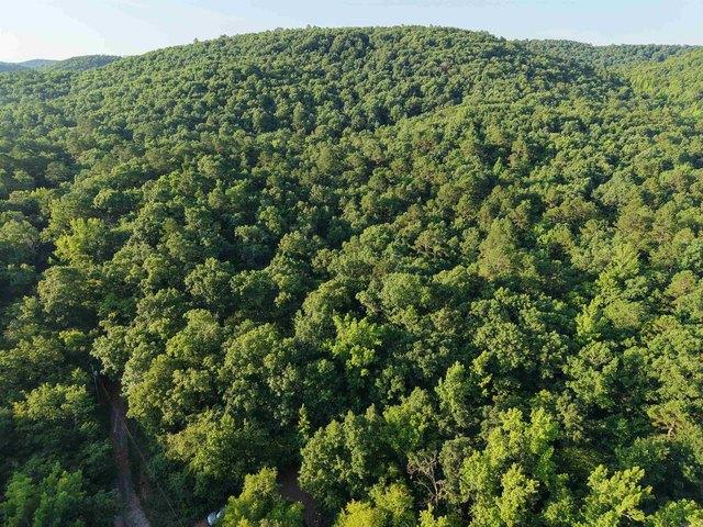 Polk Rd # 612, Mena, AR 71953