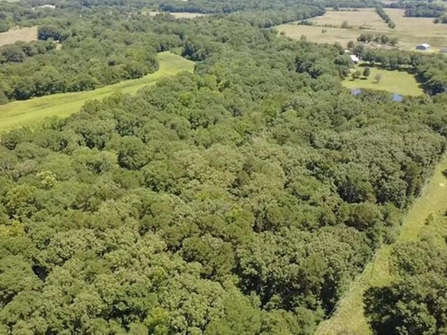 Polk Rd # 87, Mena, AR 71953