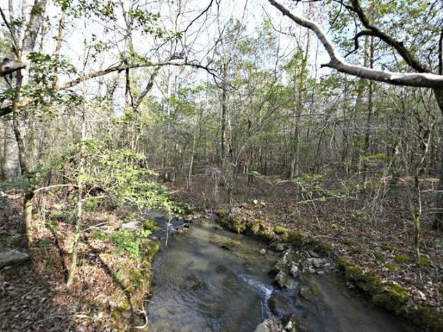 Polk Rd # 95, Mena, AR 71953