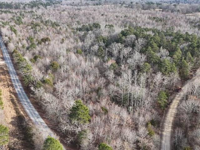 Polk Rd # 95, Mena, AR 71953