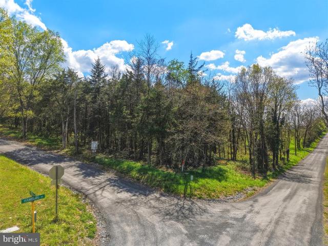 Polk Road