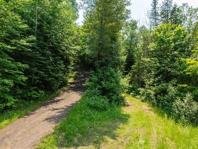 Pollack Rd, Iron River, MI 49935