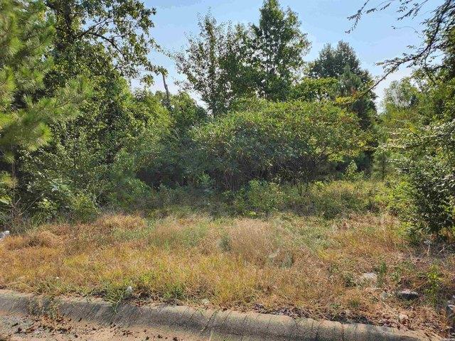 Polo Cir, Hot Springs, AR 71901