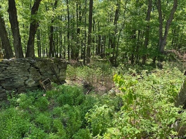 Polster, Callicoon, NY 12726