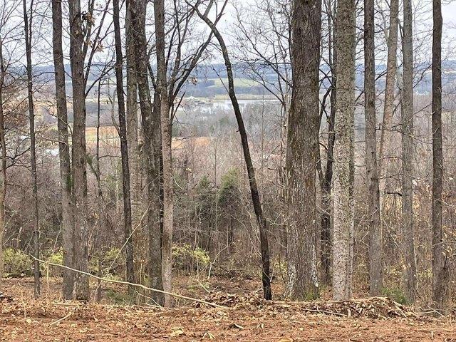 Poplar Dr Lot 10, Sweetwater, TN 37874