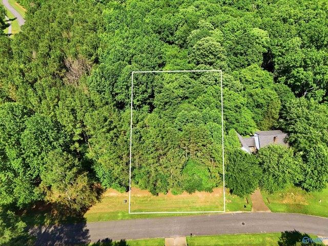 Poplar Dr Lot 1, Elkmont, AL 35620