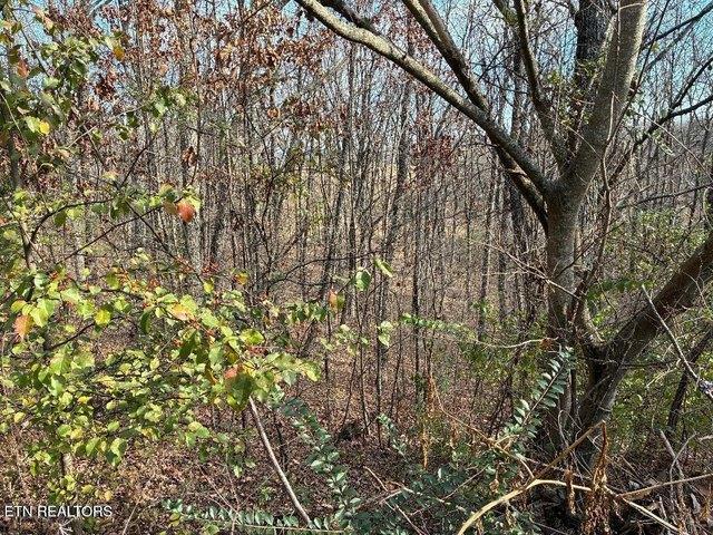 Poplar Dr Lot 31, Sweetwater, TN 37874