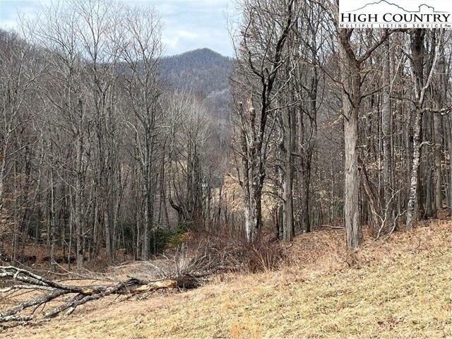 Poplar Forest Dr Lot,boone, Plot For Sale