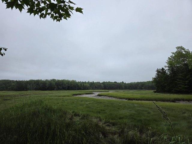 Poplar Ln Lot 175, Milbridge, ME 04658