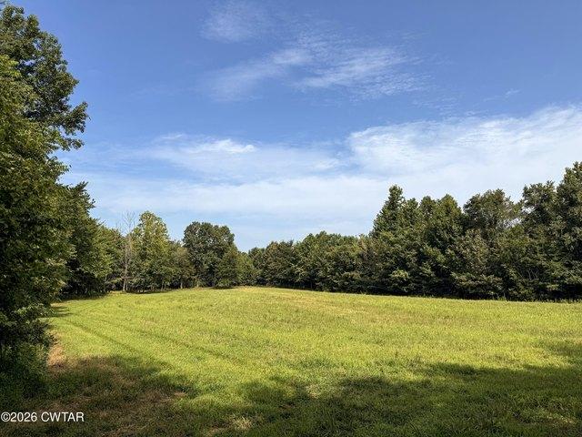 Poplar Springs Rd, Atwood, TN 38220