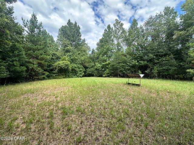 Poplar Springs Rd, Marianna, FL 32446