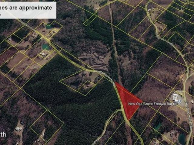 Poplar Springs Rd, Nauvoo, AL 35578