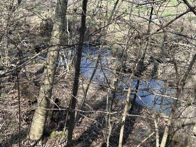 Poplar Springs Rd, Savannah, TN 38372
