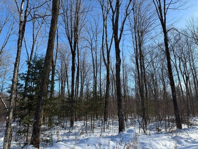 Poplar Rd, Merrill, WI 54452