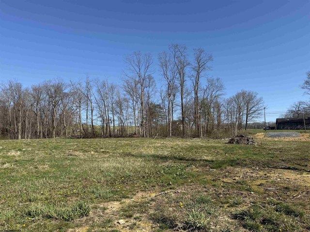 Poplar Rdg Lot 9, Bruceton Mills, WV 26525