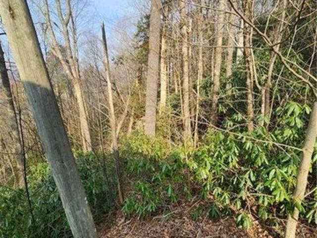 Poplar Ridge Rd, Banner Elk, NC 28604