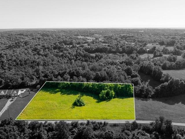 Poplar Thicket Rd, Alexandria, KY 41001