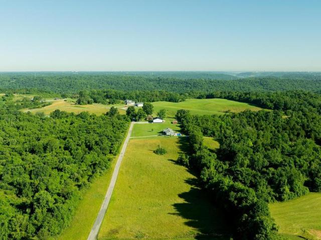 Poplar Thicket Road